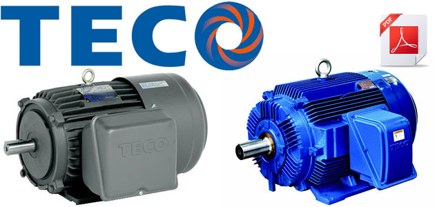 Automation & Design: Teco Electric Motor