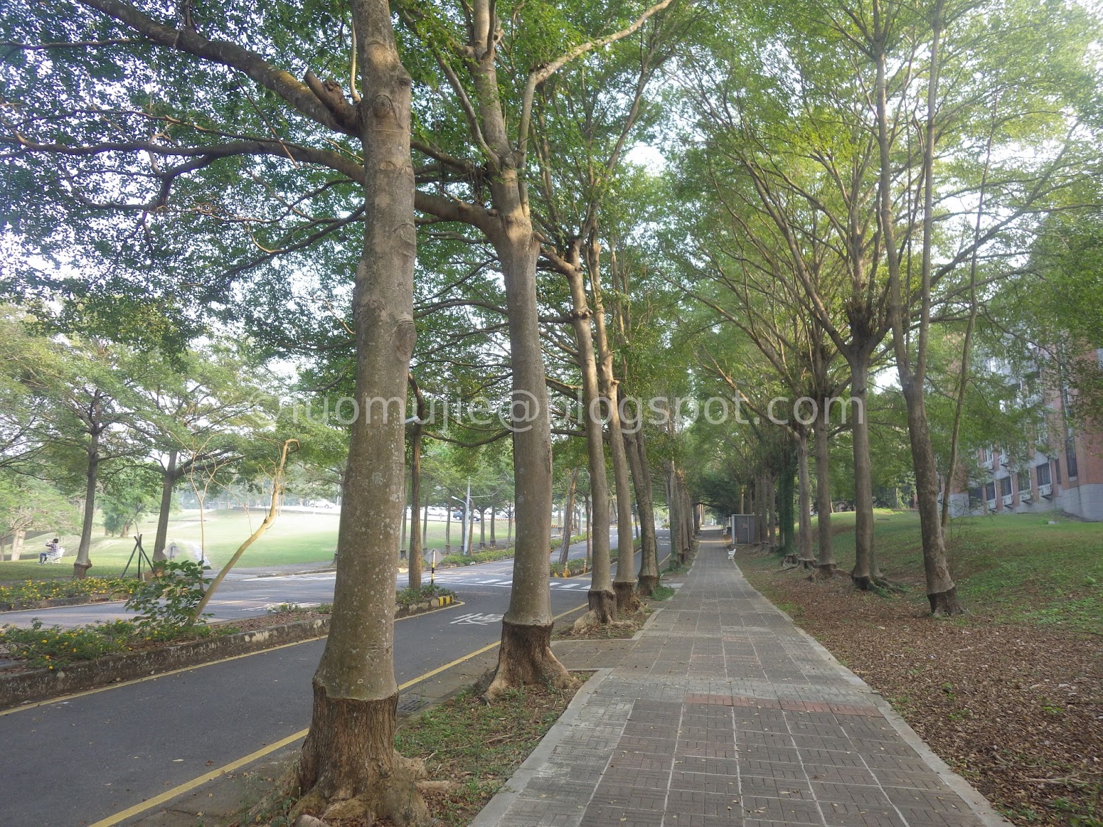 Meteor Garden (流星花園) real-life university - National Chung Cheng ...