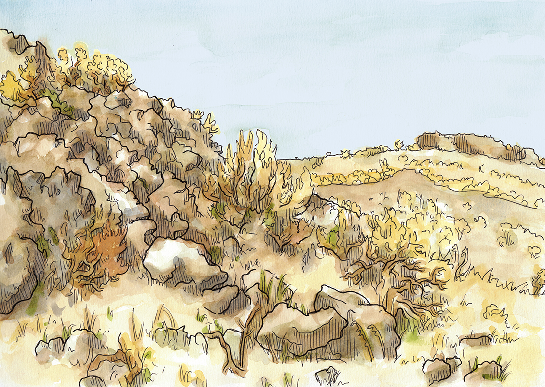 Urban Sketchers Seattle: Moses Coulee Nature Conservancy