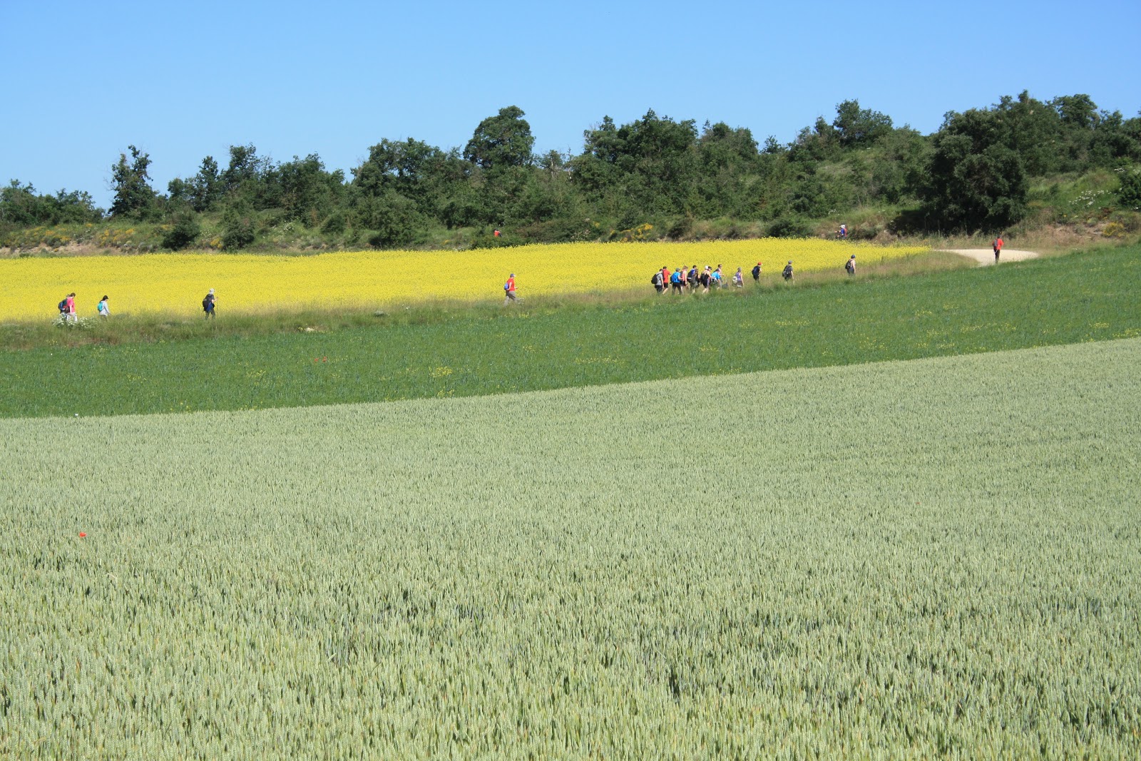 Atzegi Mendian: Albergue de Barria (Araba). 22, 23 y 24 junio 2018 ...