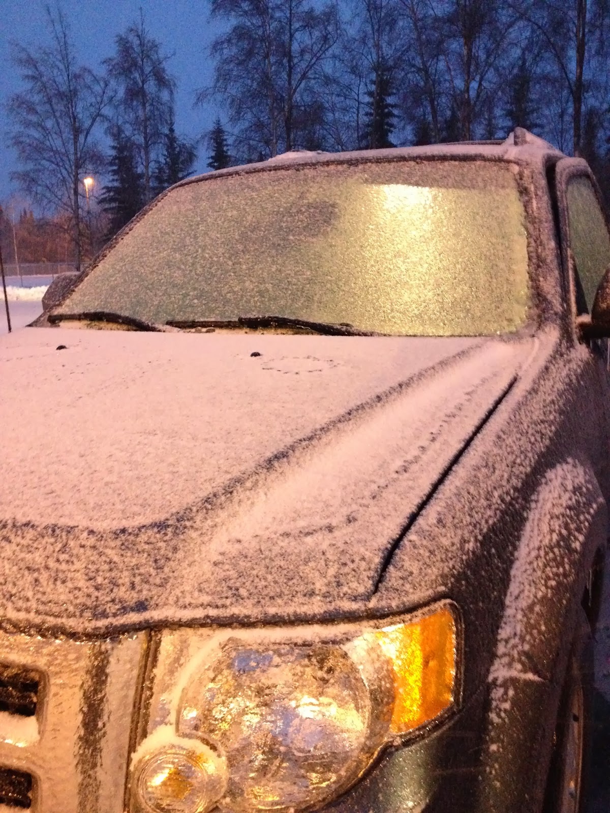 Educating children with disabilities: Five for Friday....Gobble, Gobble ...