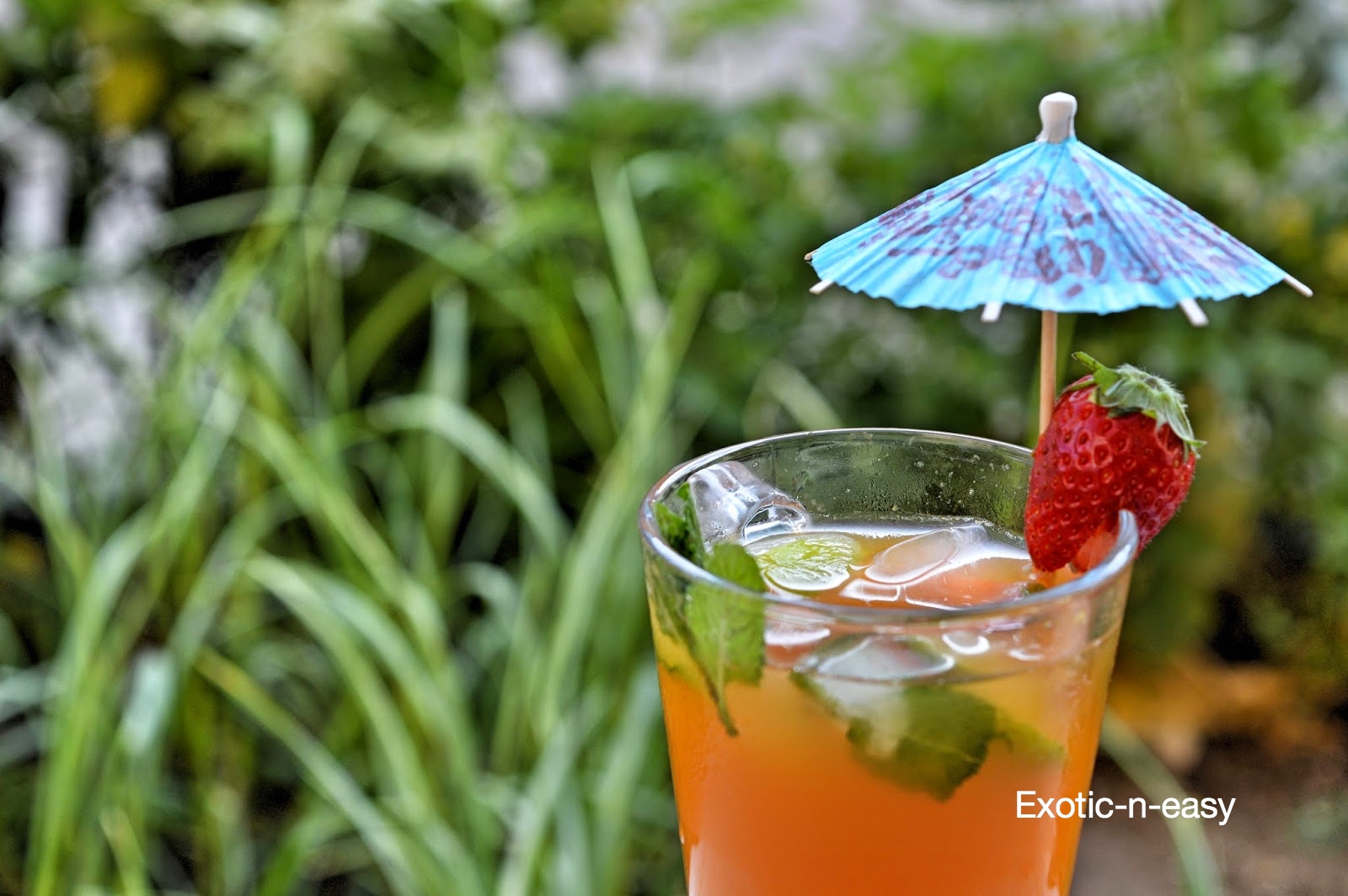 exotic-n-easy cooking: Fruity Ice-Tea