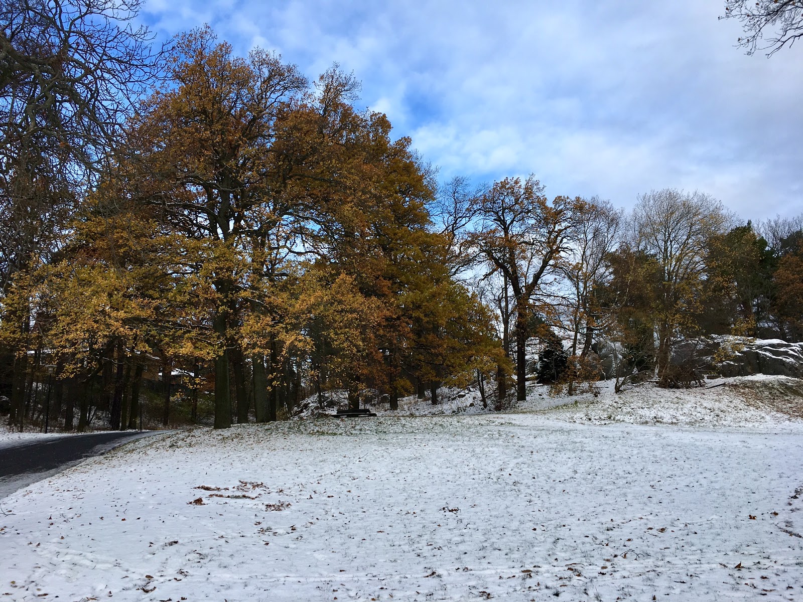 Snow in November