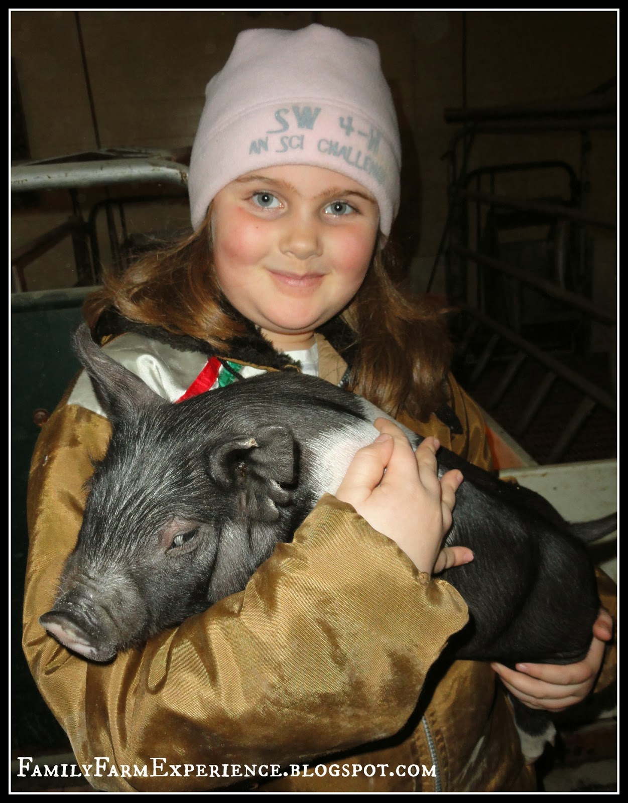 Family Farm Experience Visiting A Pig Farm family-farm-experience-visiting-a-pig-farm