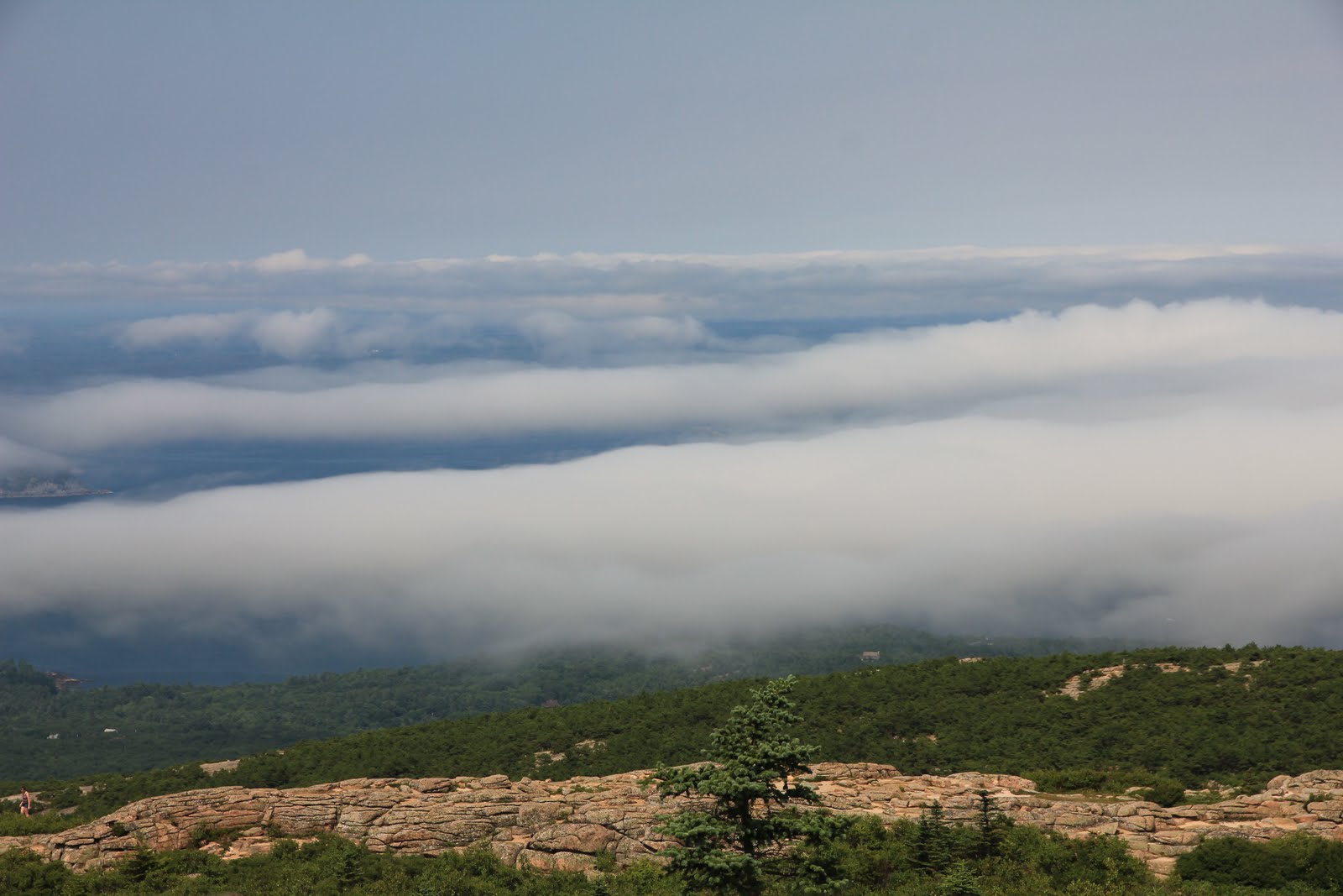 Greggle Goes West: Lights in the Darkness