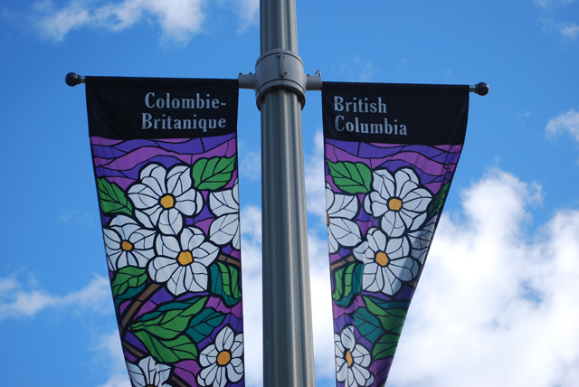 Rosie Simons Graphic and Surface Design: Pattern Inspiration - Canadian ...