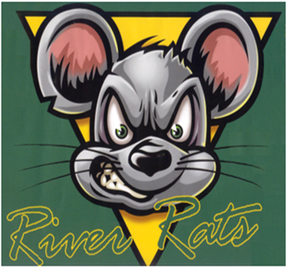 Ann Arbor Schools Musings: Mascot Meditations