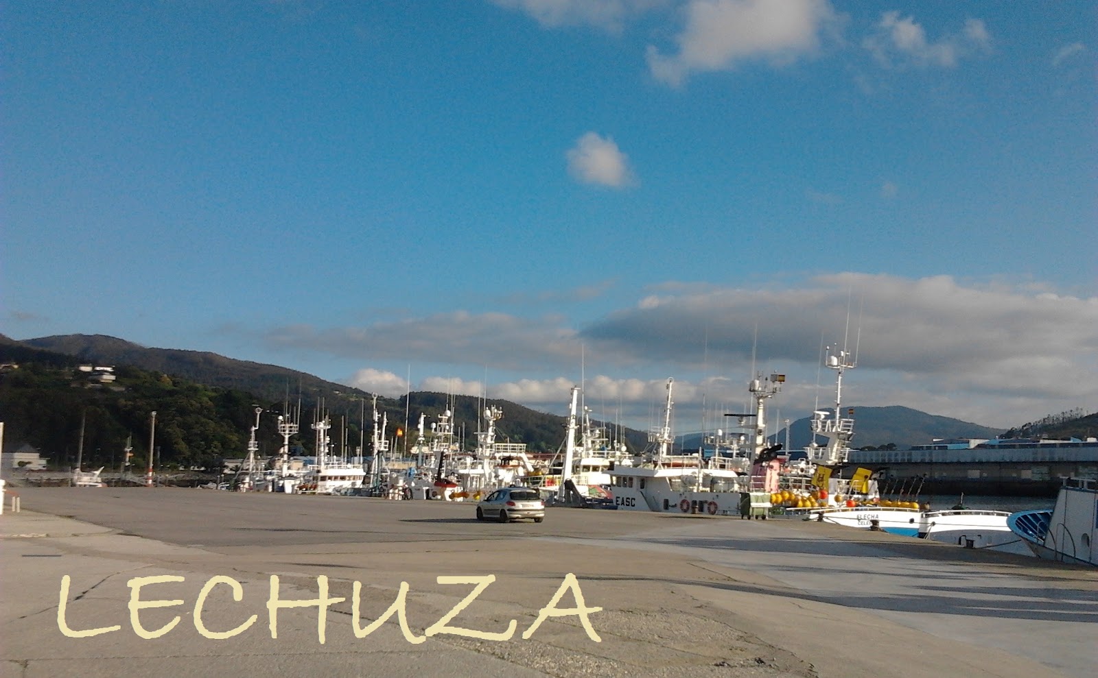 LA COCINA DE LECHUZA-Recetas de cocina con fotos paso a paso: LA COCINA ...