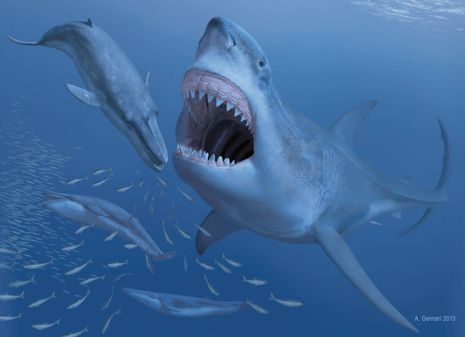 El Megalodon. El último monstruo.