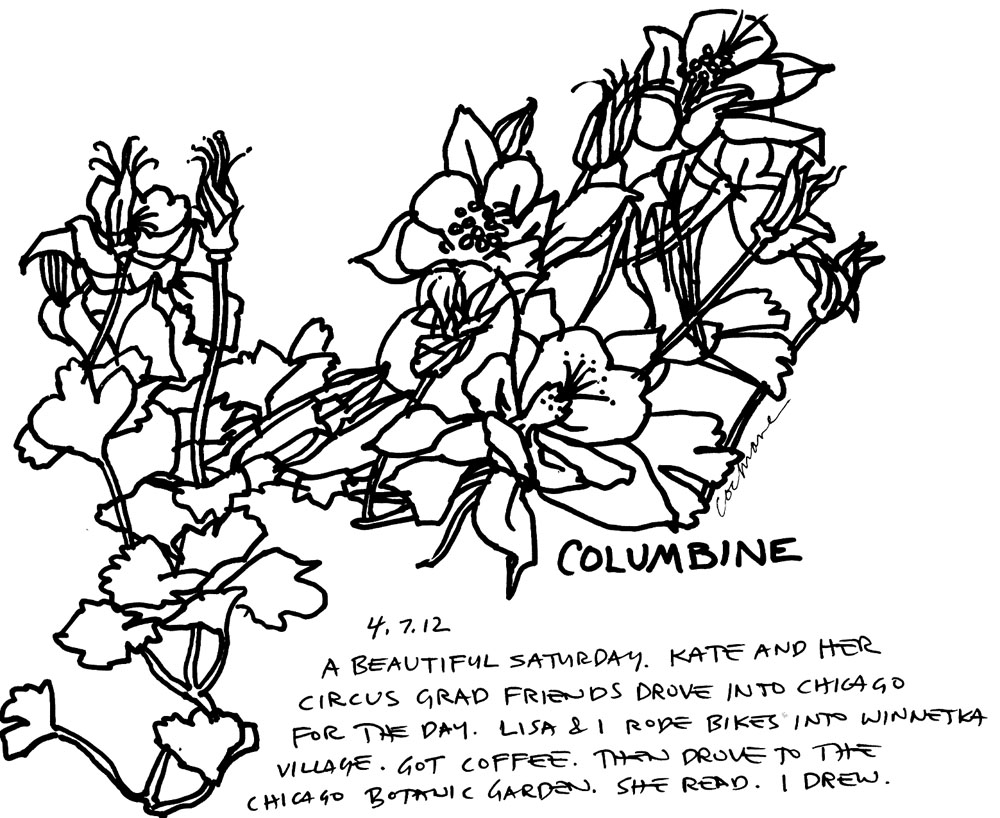 DRAW FROM LIFE: 4.7.12 Columbine