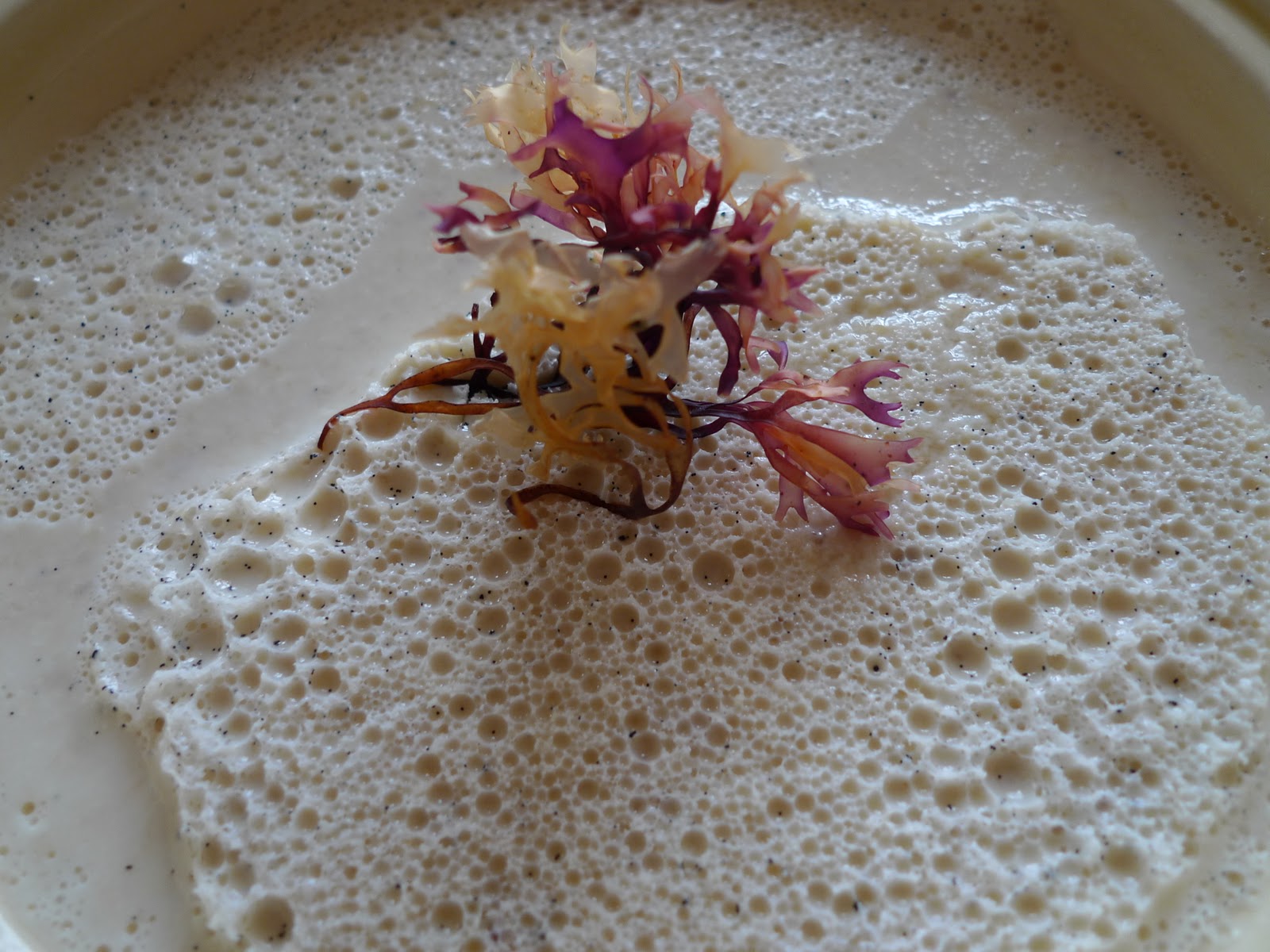 the fox and the mountain: Carrageen Moss Pudding....and some excuses!