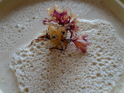 the fox and the mountain: Carrageen Moss Pudding....and some excuses!