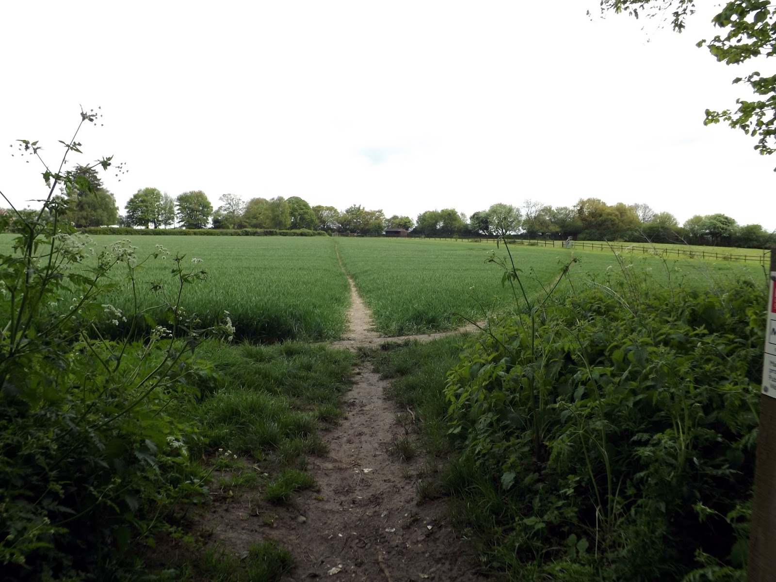 My Adventures 3: Cobham to Luddesdown Kent Circular walk 3rd May 2018