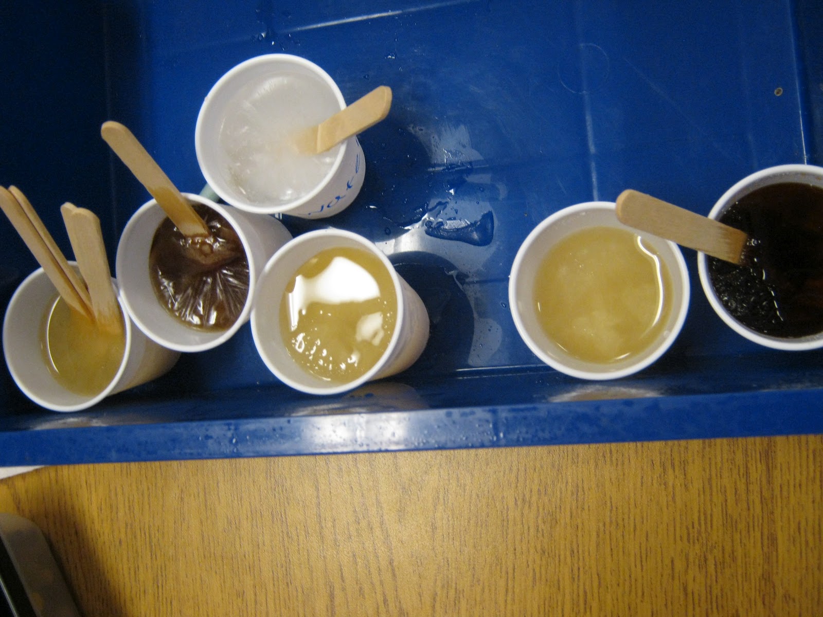 First Grade Circle: Science- Freeze Experiment