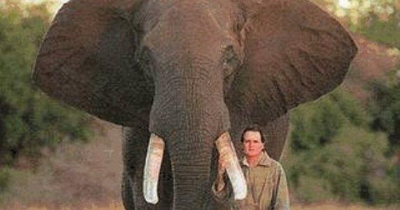 Steven Craven & His Elephant Story