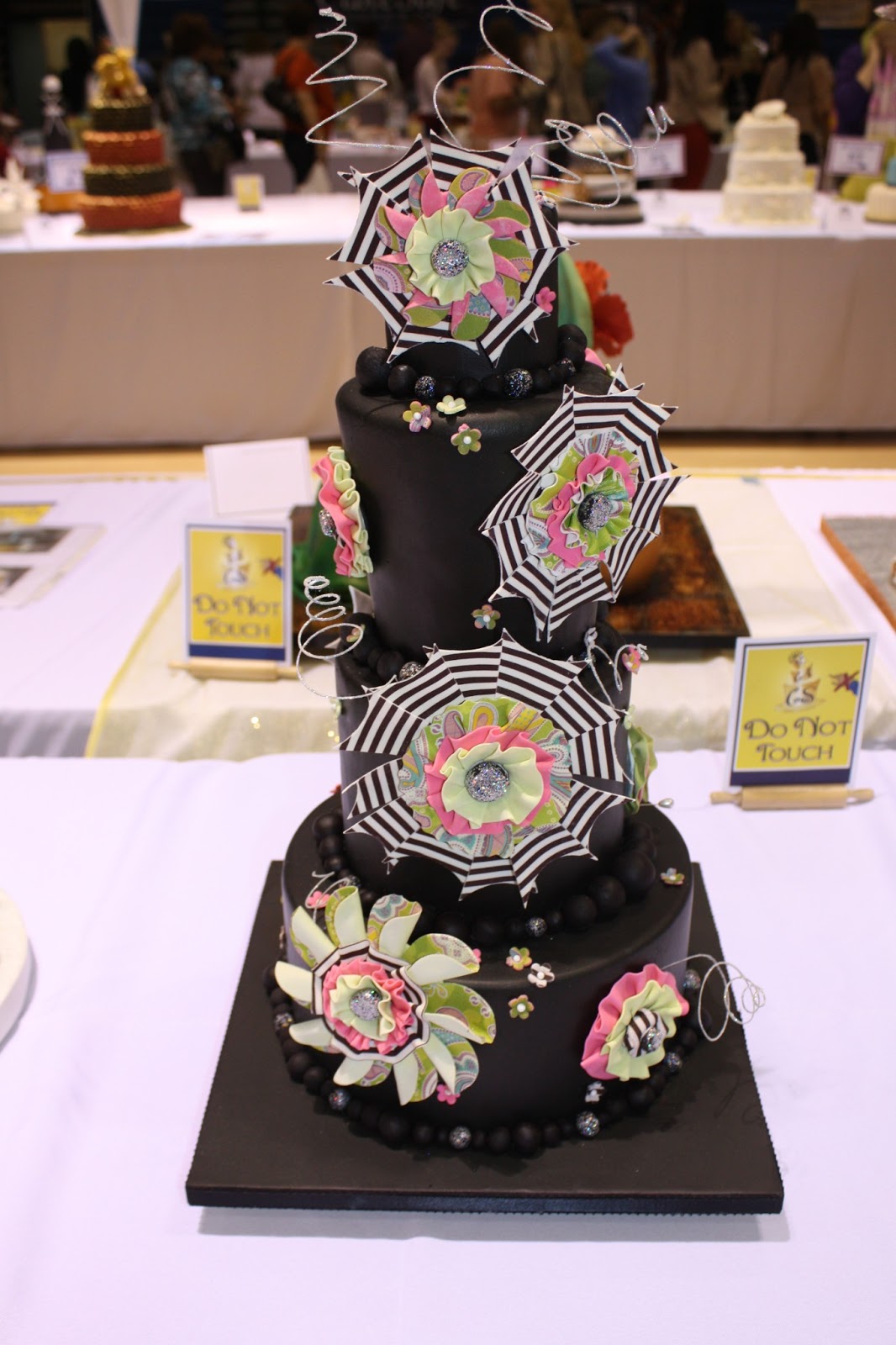 Sweet Eats Cakes: Capital Area Cake Show 2013 Divisional Cakes