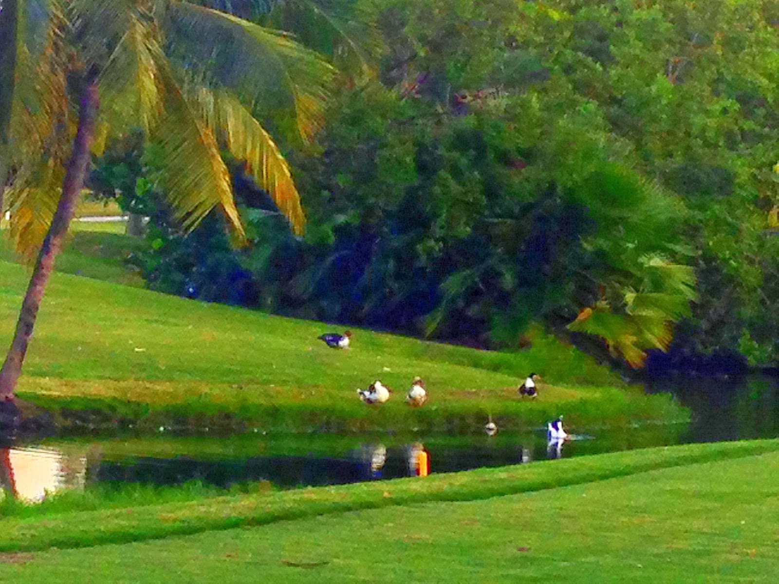 Come Home to Paradise: Neighborhood Spotlight -- Key West Golf Club