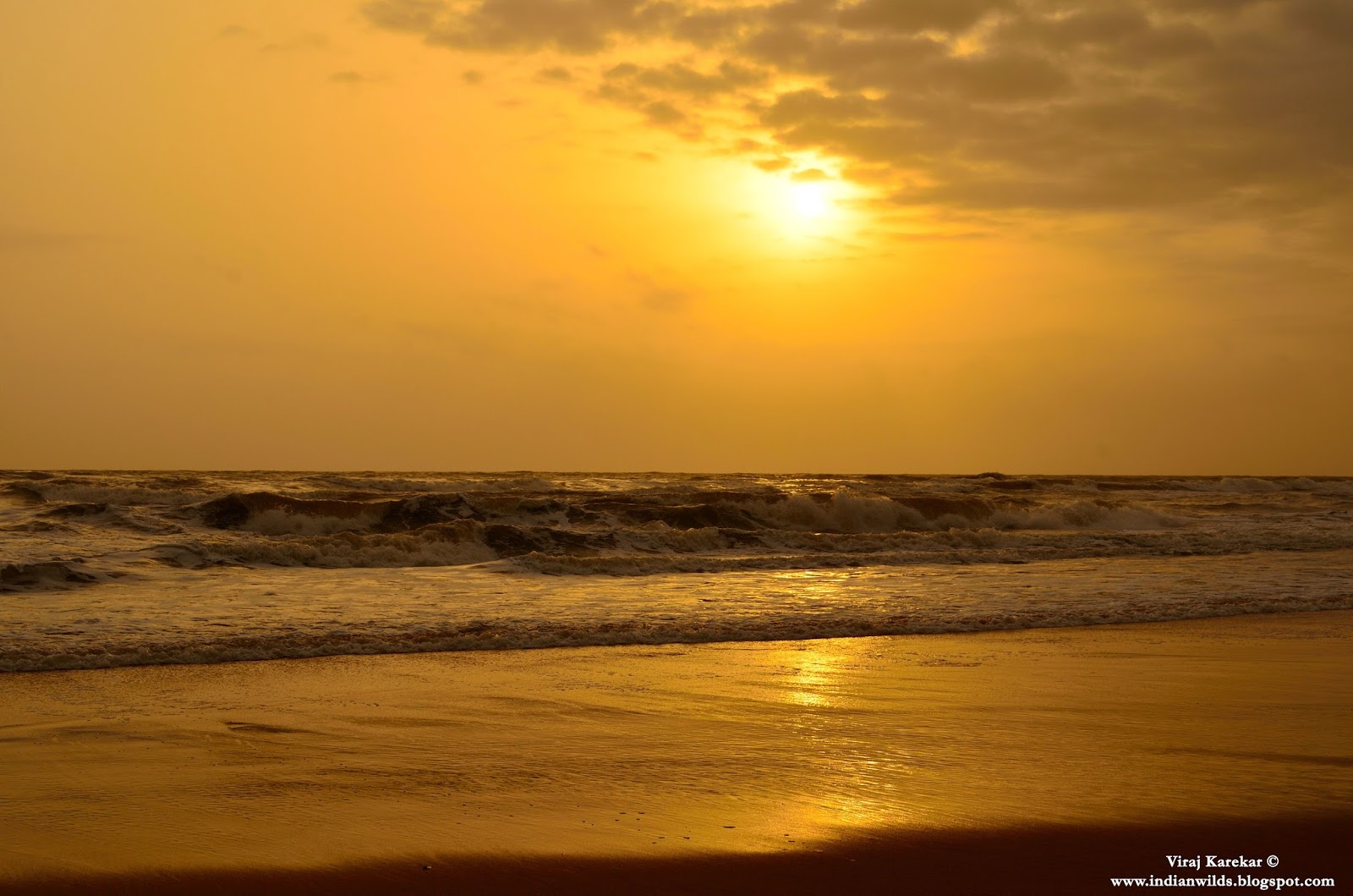 Viraj Karekar's Nature and Wildlife Photography: A view at Honnavar ...