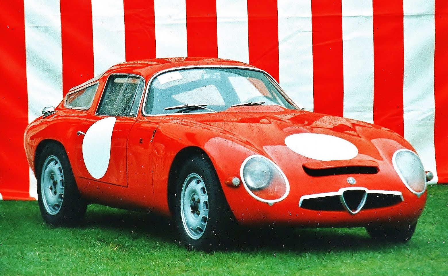 Ferraris and Other Things: Alfa Romeo TZ