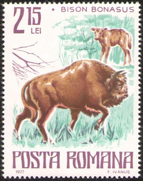 Timbre filatelice: Timbre filatelice-animale si pasari ocrotite in Romania