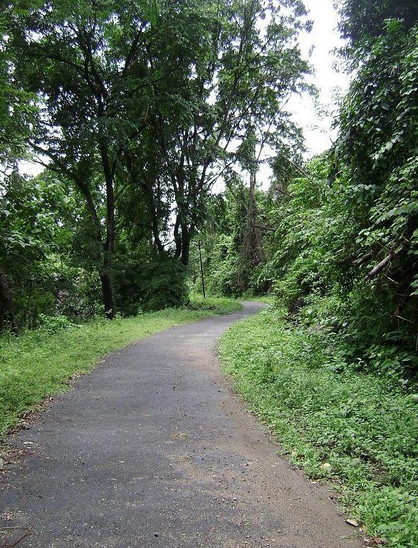 Tamilnadu Tourism: Kalikesam Forest & Waterfalls, Kanyakumari