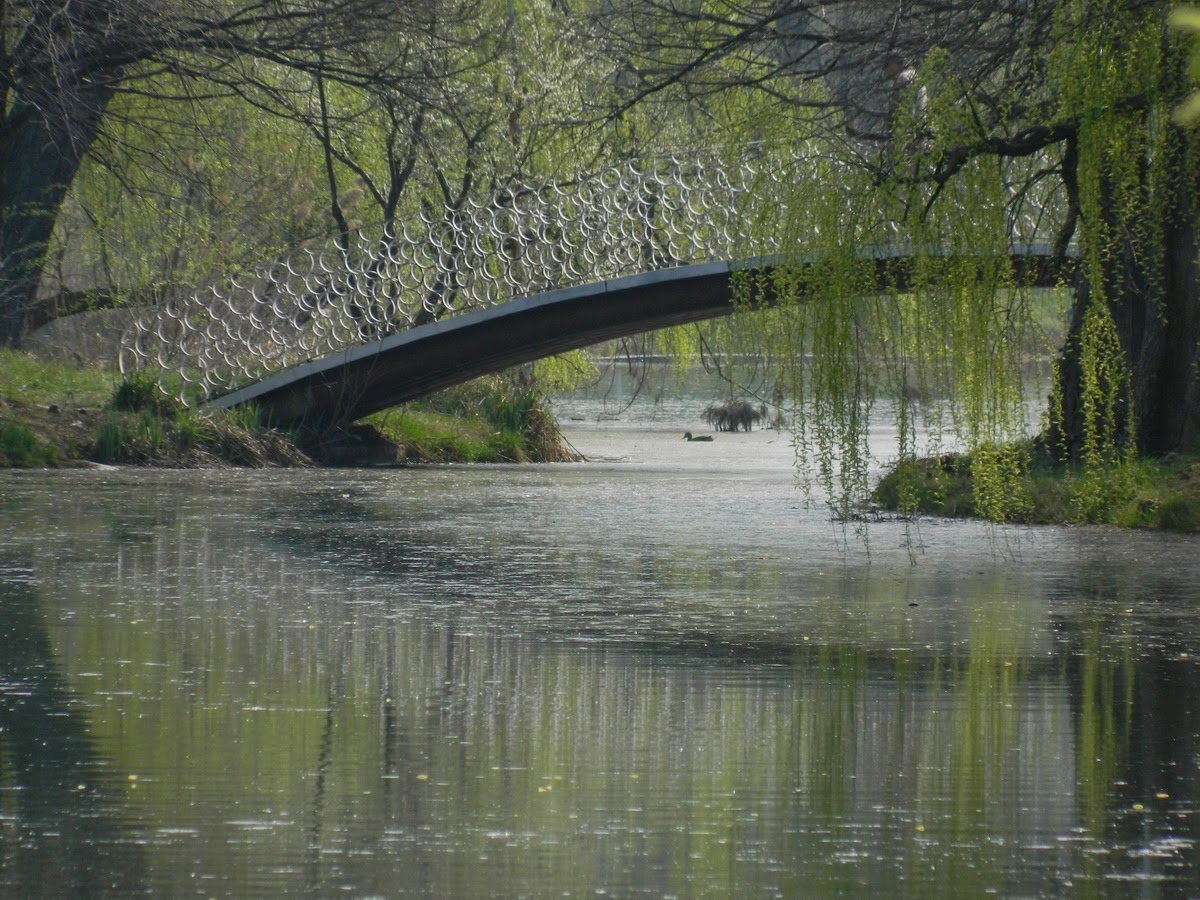 LA MULTI ANI, ROMANIA!: Doua poduri in imagini duale