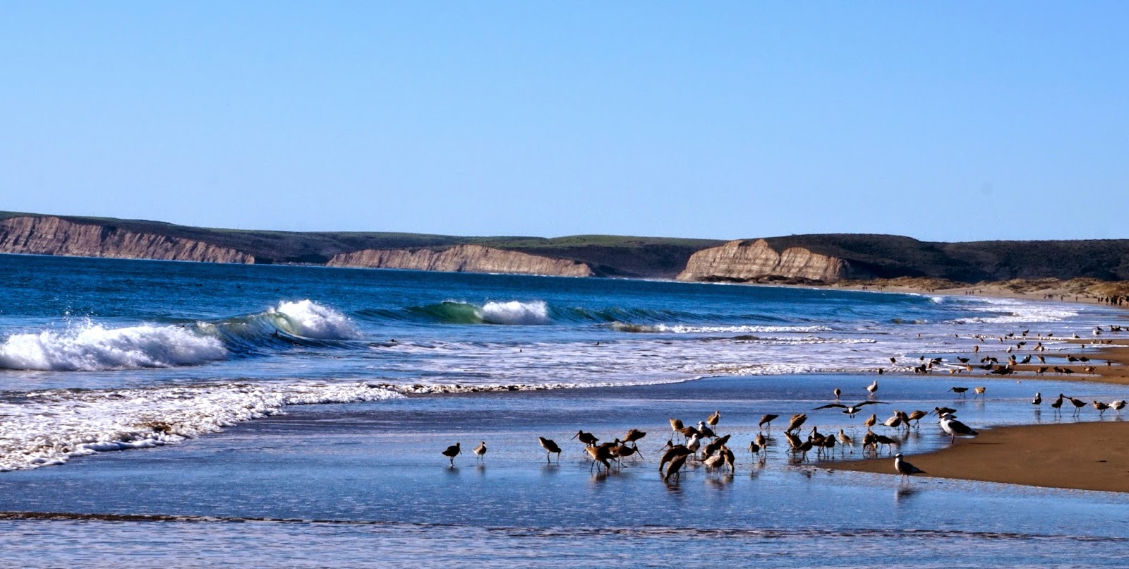 The Thrifty Traveler: A Beautiful Day in Point Reyes