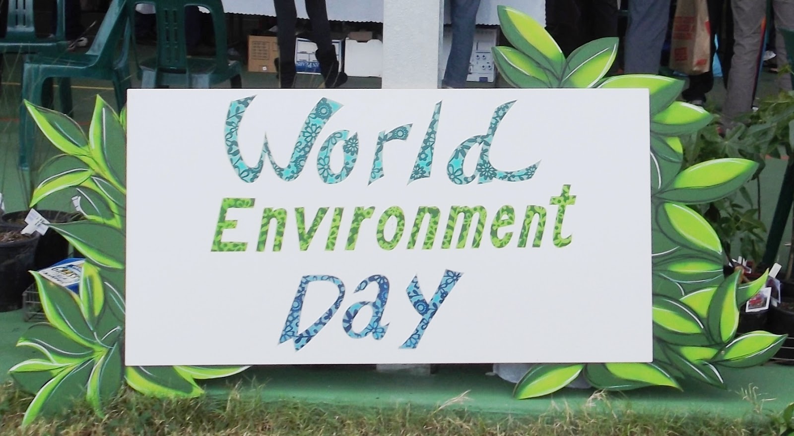 boonah organisation for a sustainable shire: world environment day ...