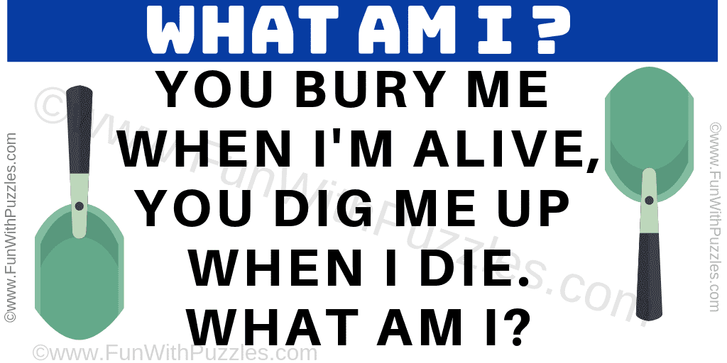 What Am I Riddle To Challenge Your Brain what-am-i-riddle-to-challenge-your-brain