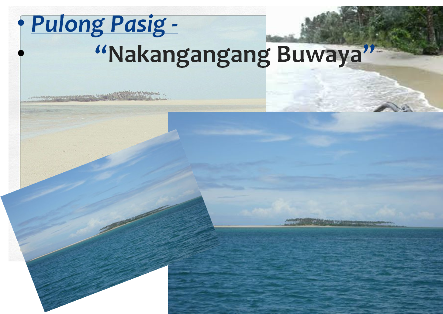 Explore the Small Town of Calauag, Quezon Province