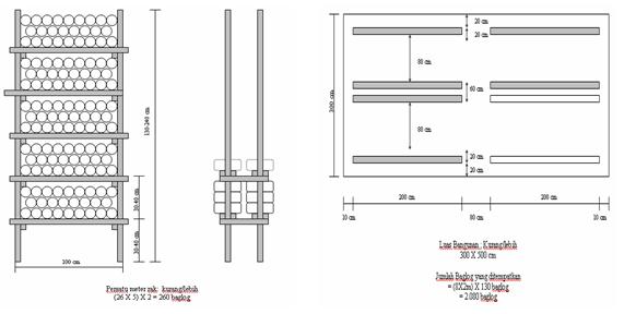 densiusman: BUDI DAYA JAMUR TIRAM PUTIH