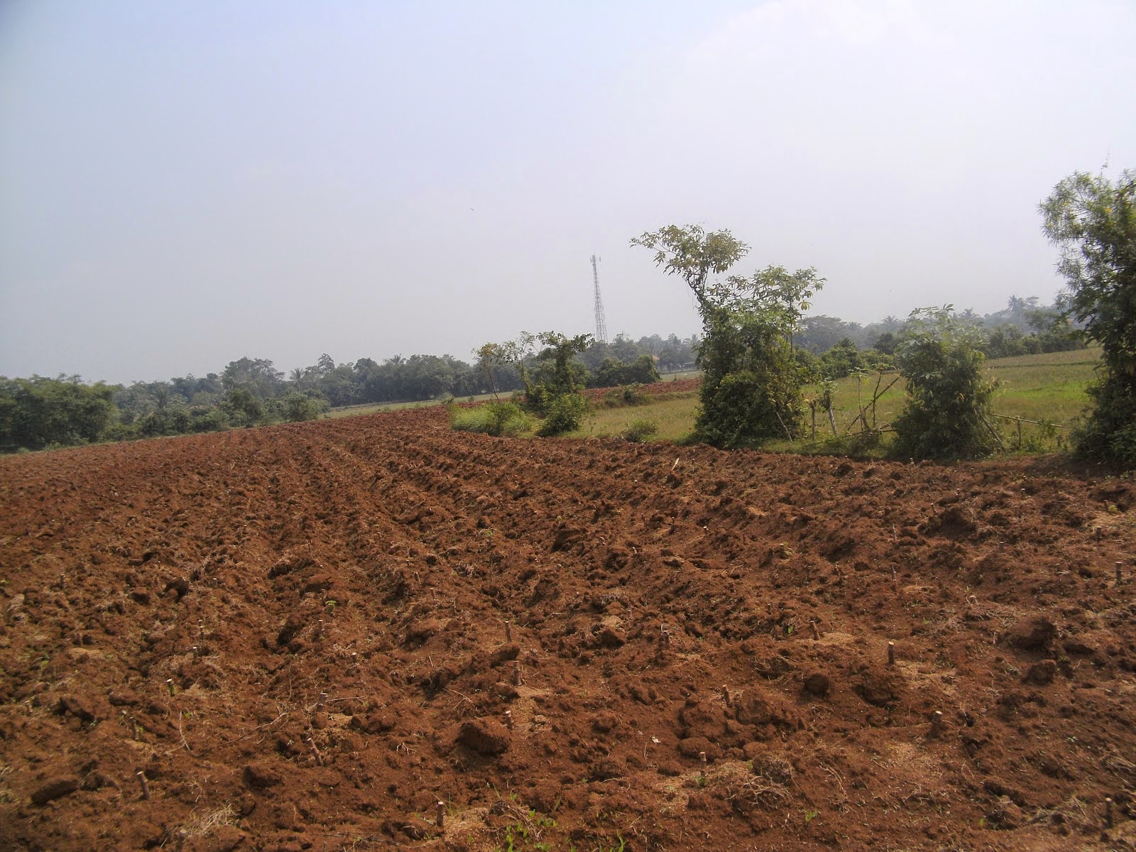 Pengertian Tanah | Pengertian ILMU