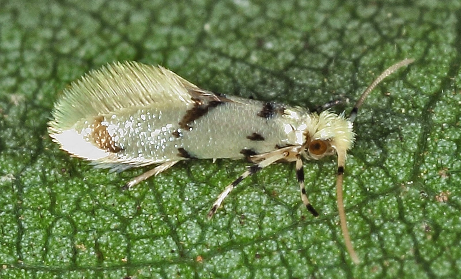 BunyipCo: September 2014