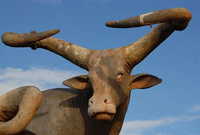 Kouprey ~ Animals Images