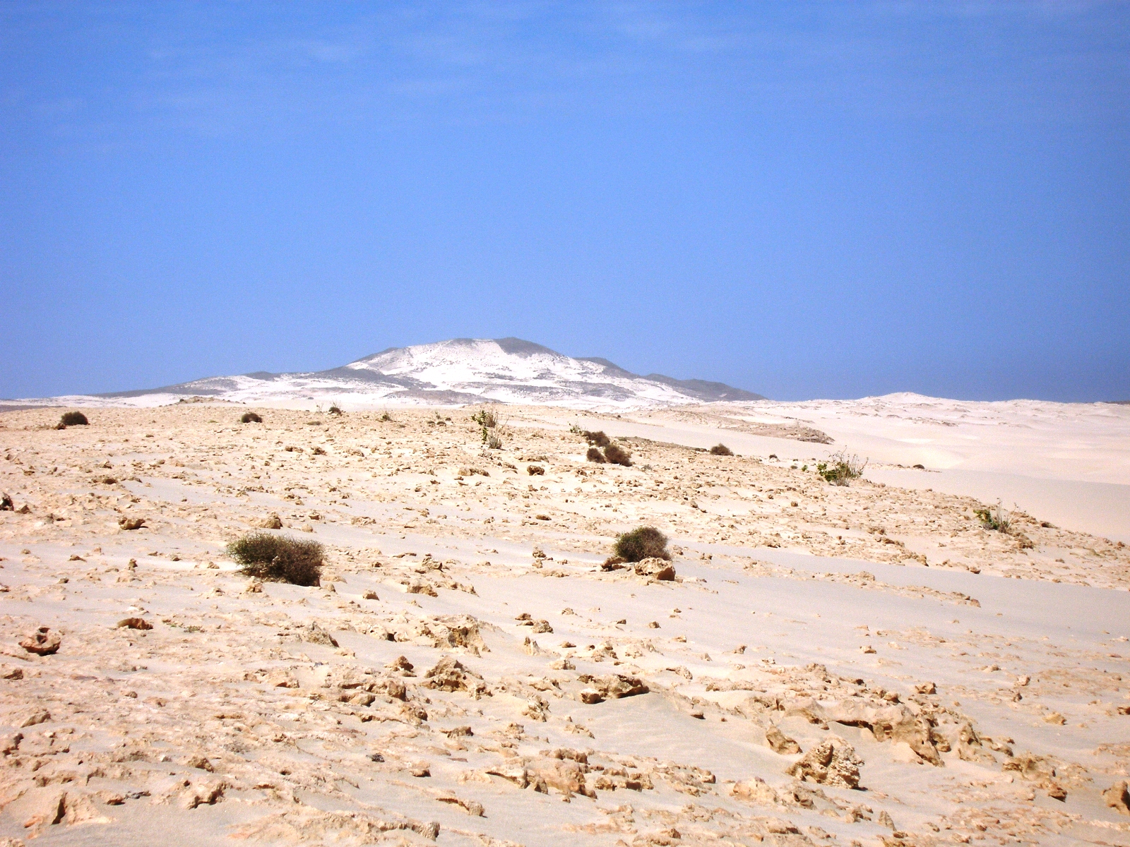 Áreas Protegidas da Ilha Boa Vista: maio 2013