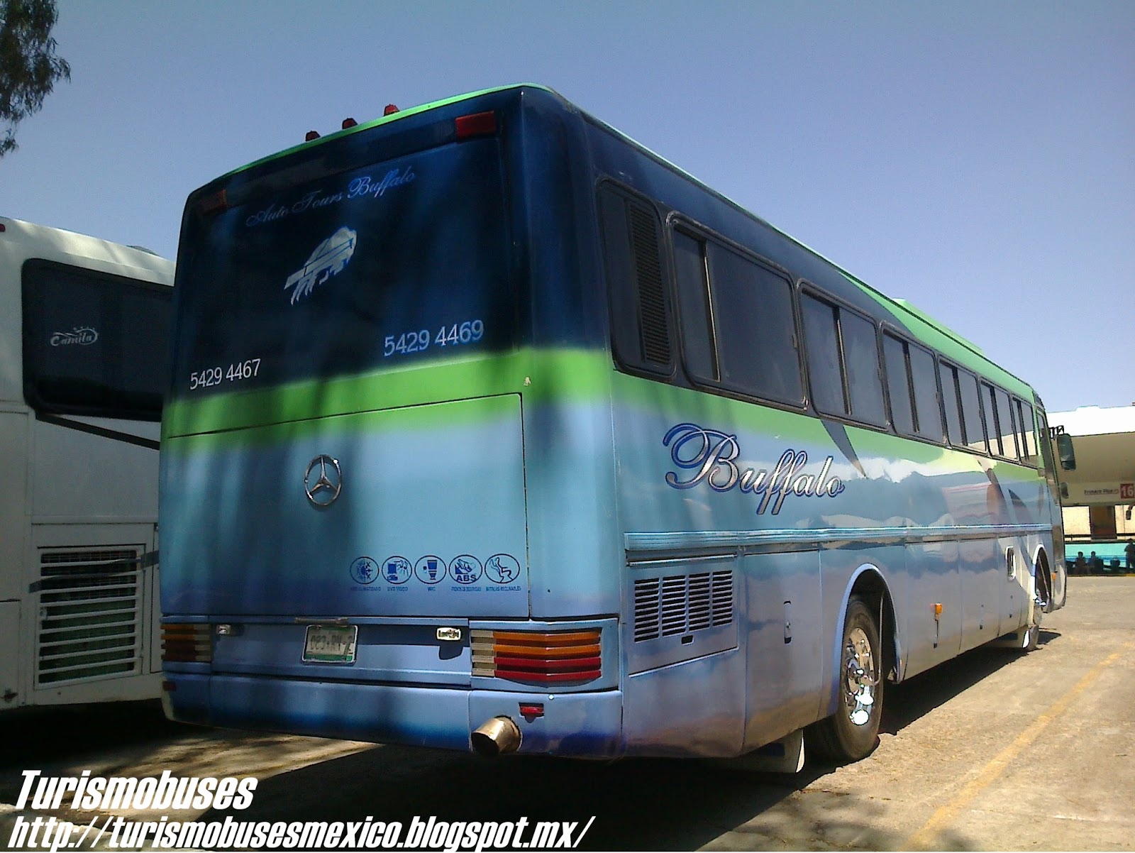 TURISMOBUSES MEXICO: Autotransportes Buffalo