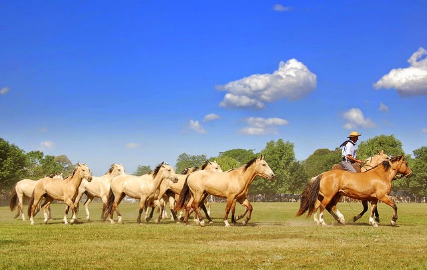 Memorias 24: Diciembre (Almanaque llanero)