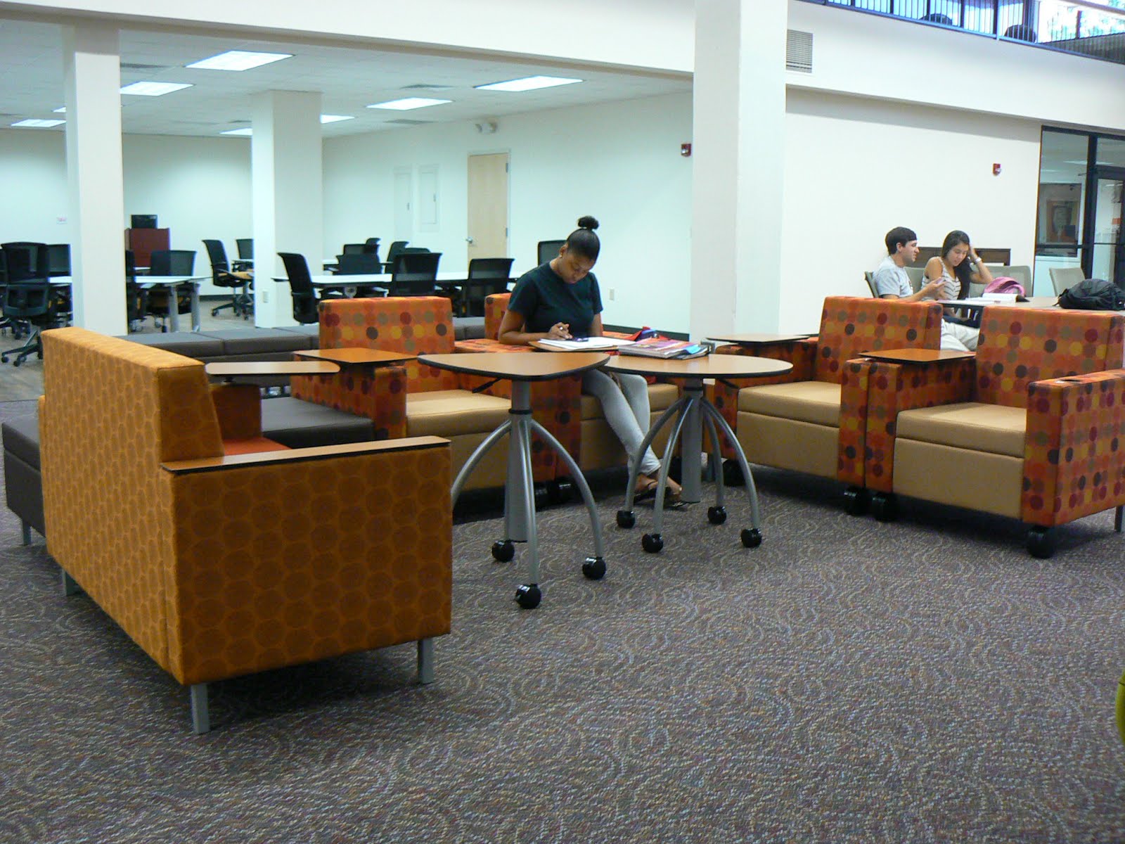 CSU Libraries: 2012
