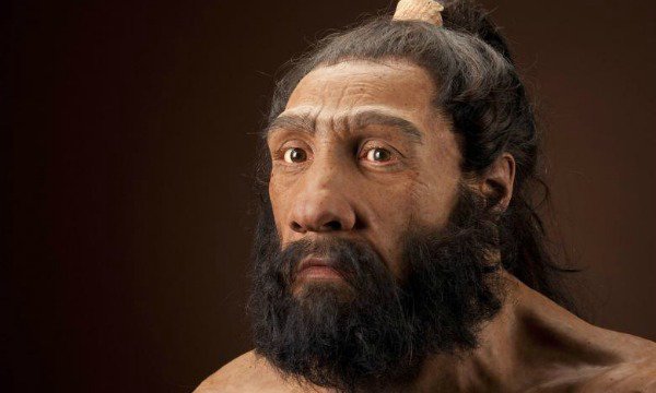 Mi történt a tudományban?: A neandervölgyiek és a kultúra