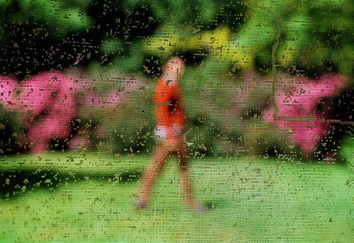 Hunters & Gatherers at Home: Brilliant Perspectives