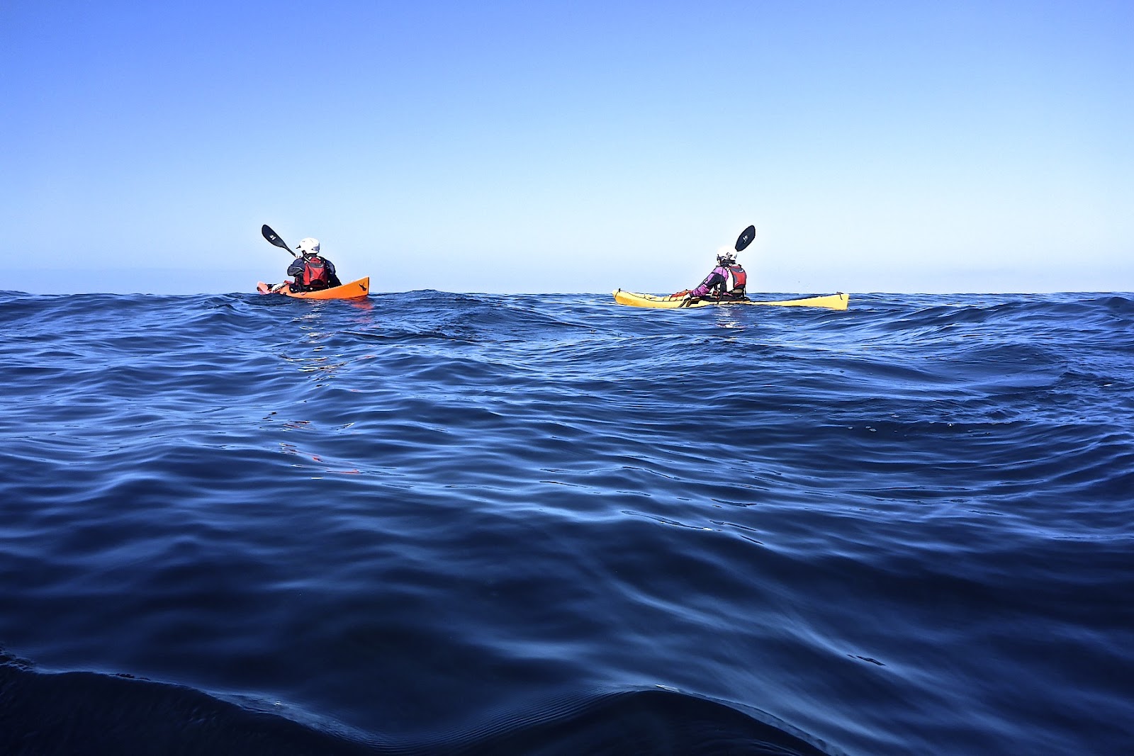 The Duffel Bag: * Sea Kayaking Point Lobos State Natural Preserve