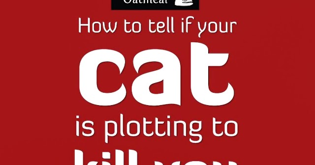 Quick Book Reviews: “How to Tell if Your Cat is Plotting to Kill You ...