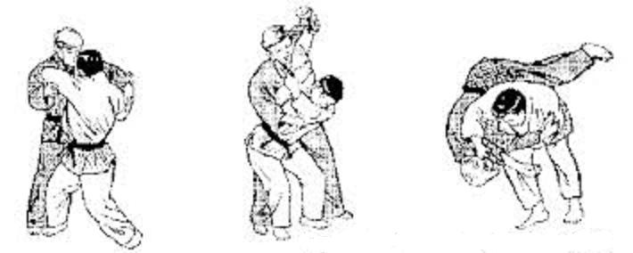 BUDO TOLEDO: KOSHI WAZA: TÉCNICAS DE CADERA