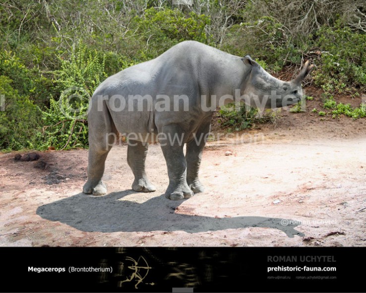 Escenarios prehistóricos: Megacerops