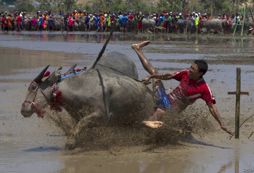 Global Spot: Festivals Around the World