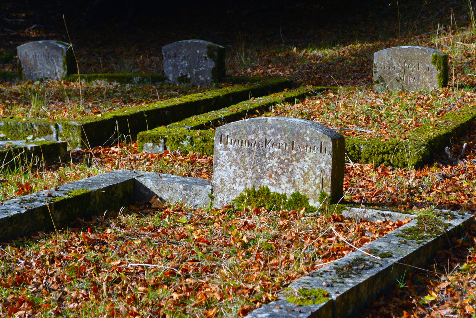 WINDSONG: Rihla (Journey 46): PARTRY HOUSE, CO. MAYO, IRELAND – The ...