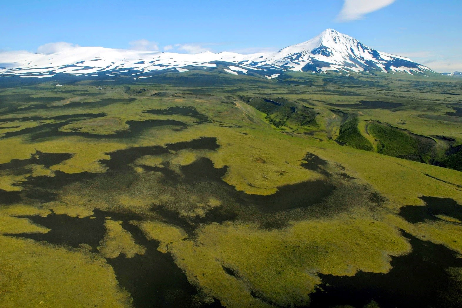 Bering Pacific Ranches: Organic Beef, Aleutian Islands