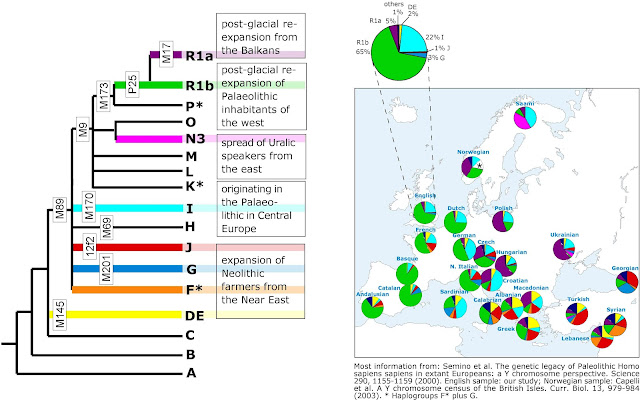 Sardinian People: [Genetics] Y-Dna Haplogroups distribution in Sardinians