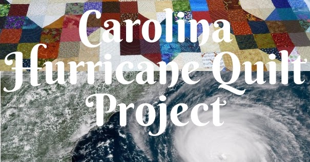 Confessions of a Fabric Addict: Can You Help? The Carolina Hurricane ...