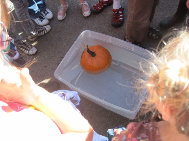 Kinder Days....: The Pumpkin Runner... FIAR Study